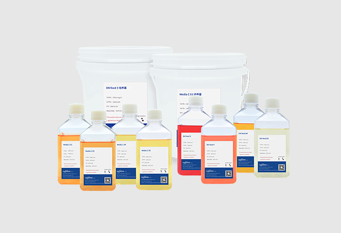 Media C & DN Feed Series CHO Serum-free Cell Culture Medium
