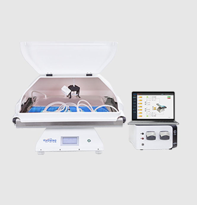 Suspension Cell Culture