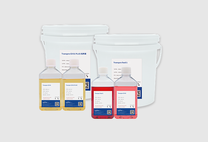 Transpro Series HEK293 Cell Culture Medium