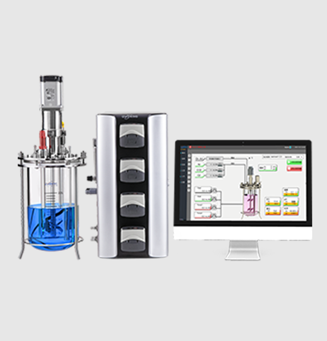 Adherent Cell Culture