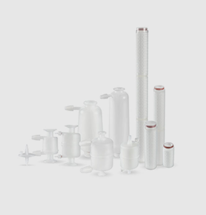 PTFE Capsule Filter & Cartridge