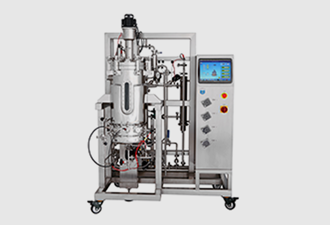 Stainless Steel Microbial Fermentation System